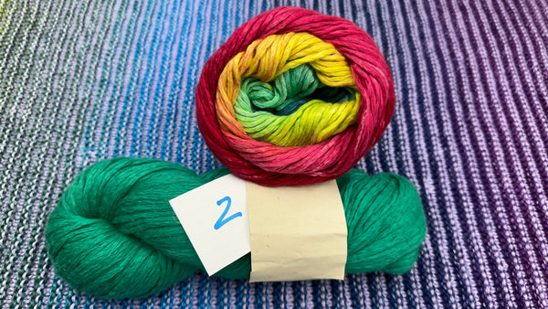 SLIDING IS FUN - BABY BLANKET KIT - Knitty Gritty Yarn Girl