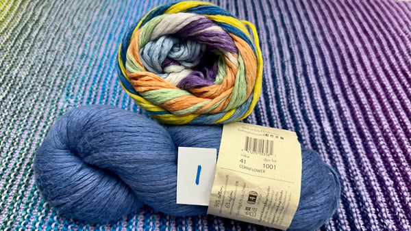 SLIDING IS FUN - BABY BLANKET KIT - Knitty Gritty Yarn Girl